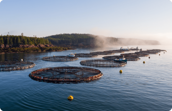 Nova Scotians Deserve Clarity on Fish Farming - Atlantic Canada Fish ...
