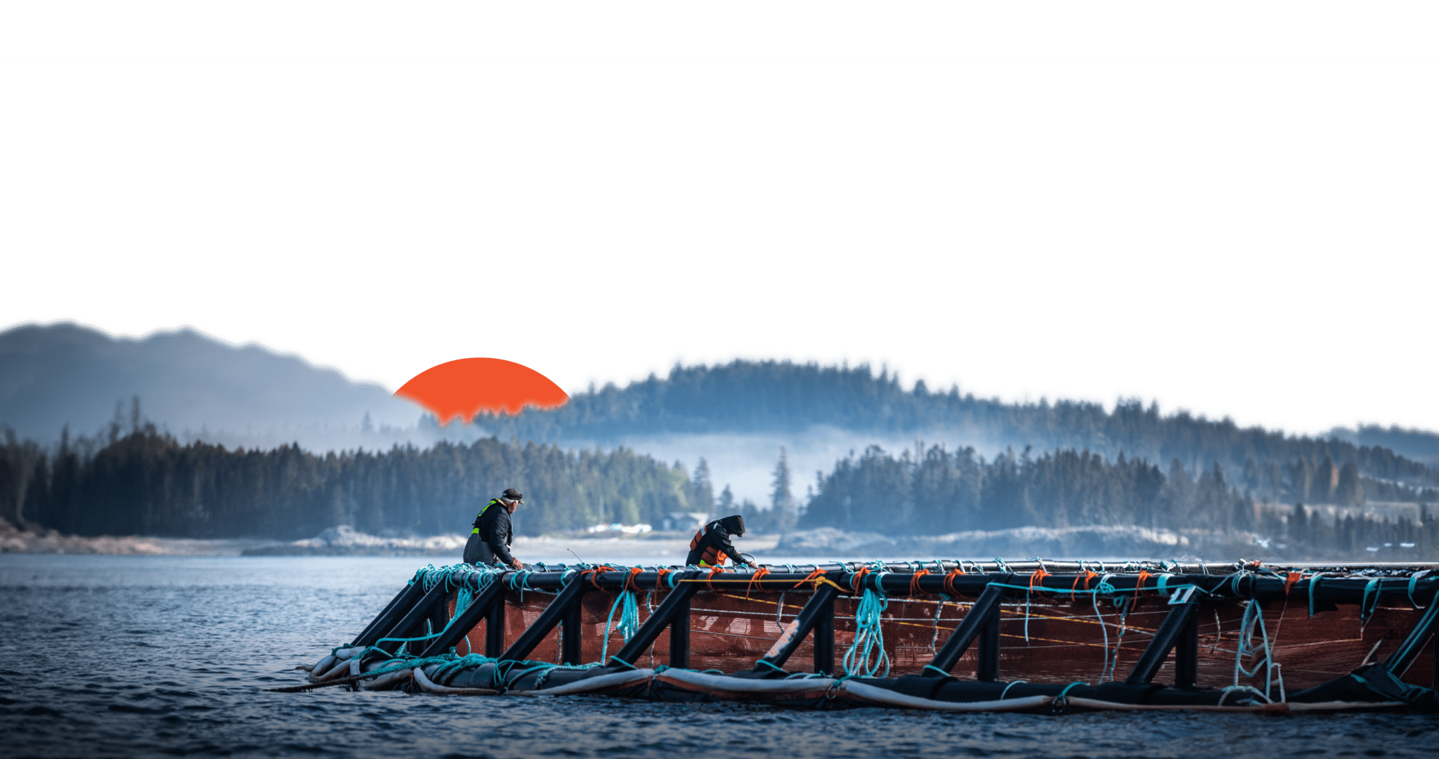 Wild and Farmed - Atlantic Canada Fish Farmers Association (ACFFA)