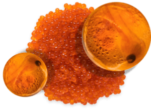 How Farmed Salmon Grow - Atlantic Canada Fish Farmers Association (ACFFA)