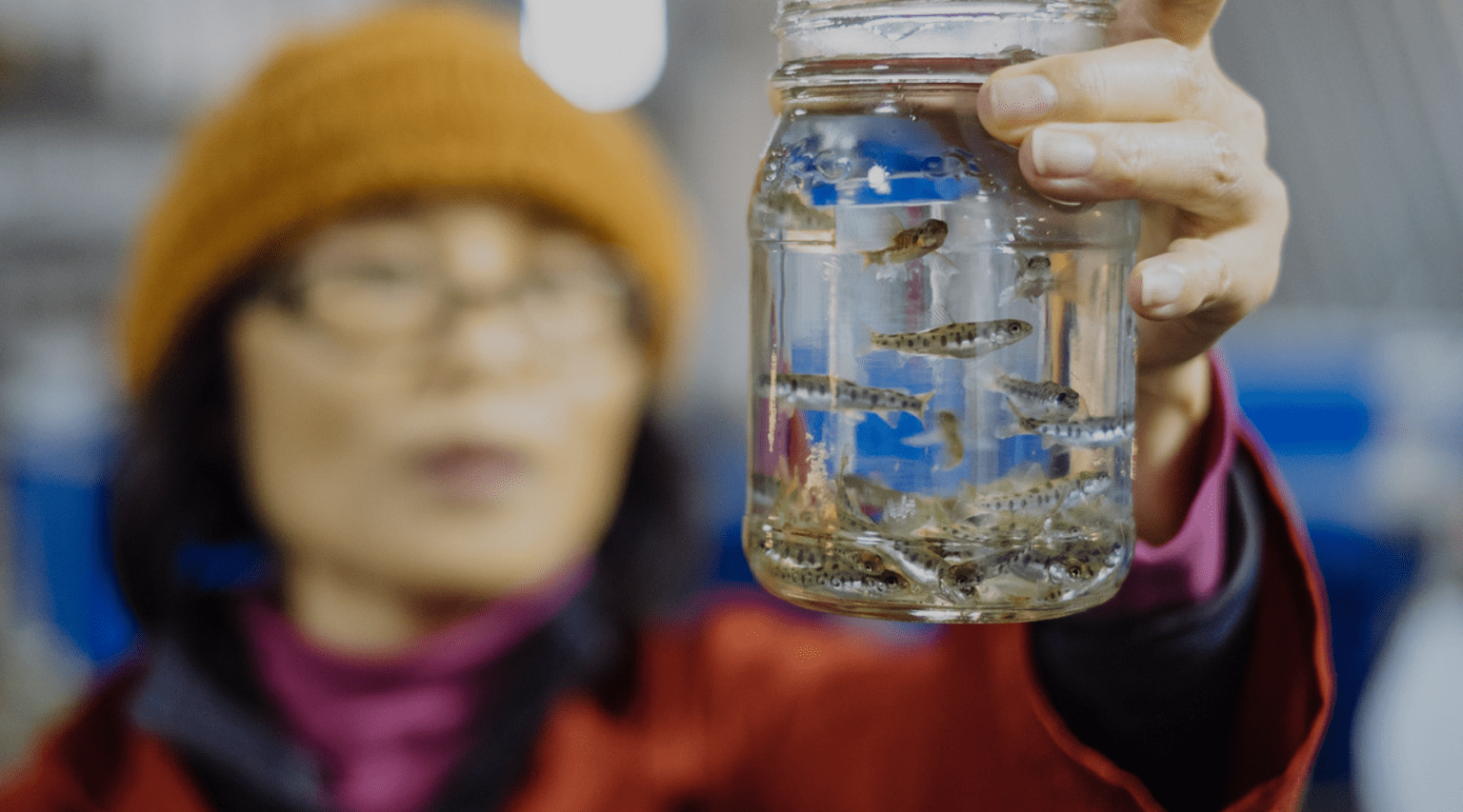 Home - Atlantic Canada Fish Farmers Association (ACFFA)