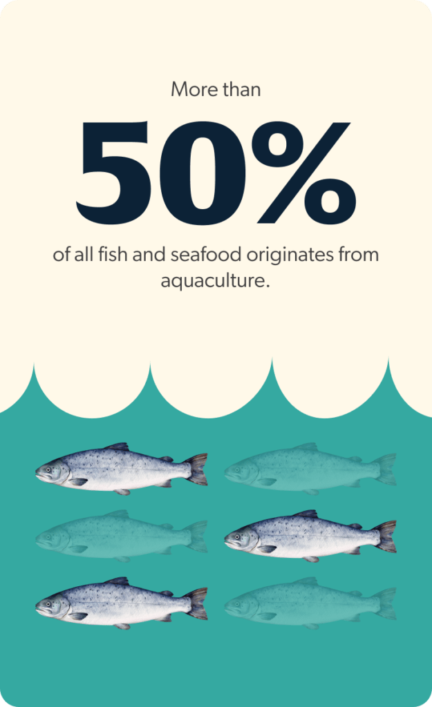 Home - Atlantic Canada Fish Farmers Association (ACFFA)