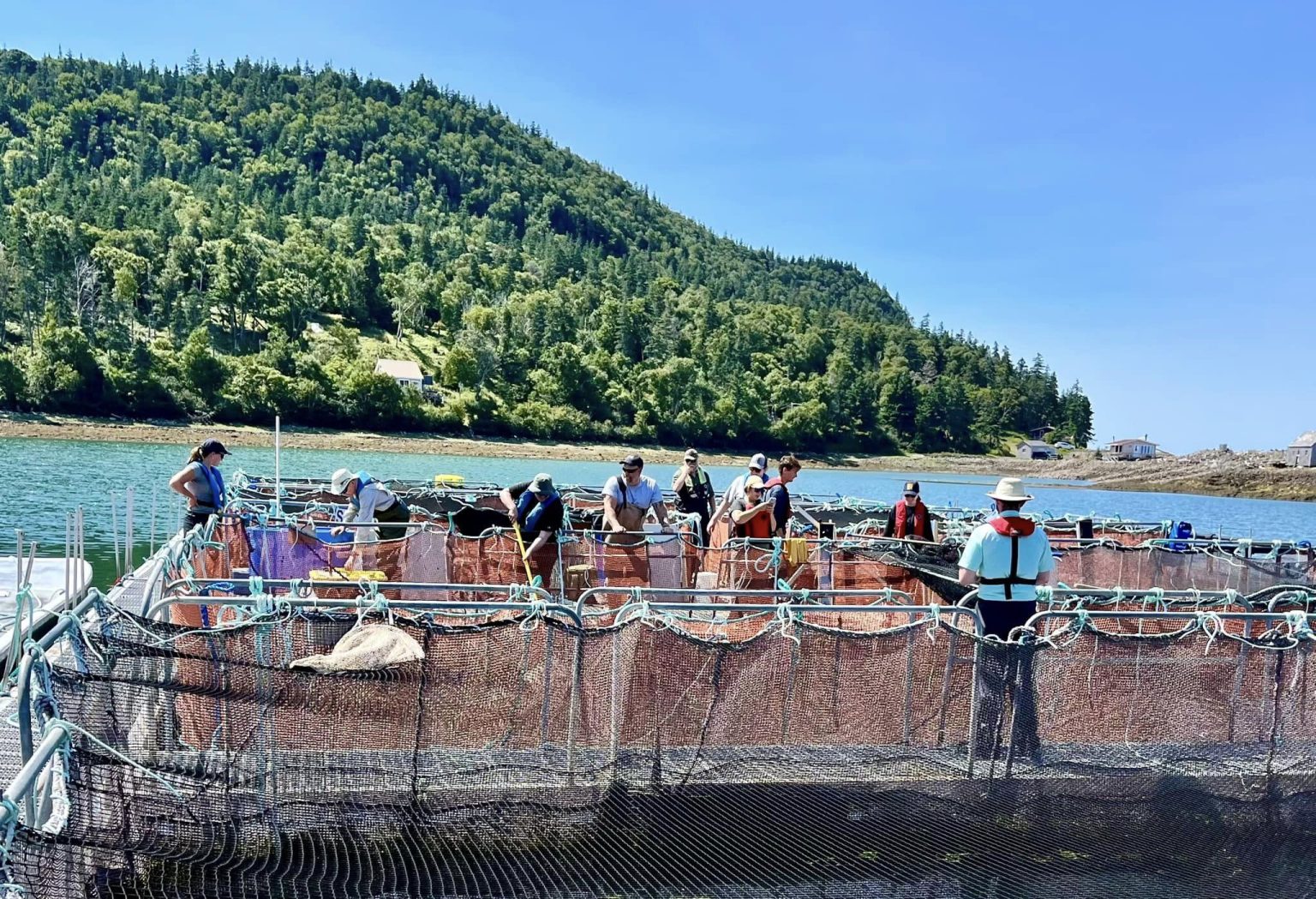 How Farmed Salmon Grow - Atlantic Canada Fish Farmers Association (ACFFA)